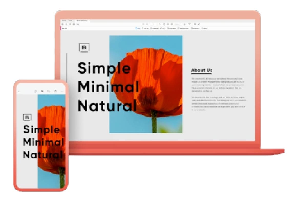 Adobe Acrobat Pro for teams