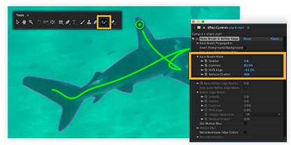 Remove & add moving objects in video | Adobe After Effects