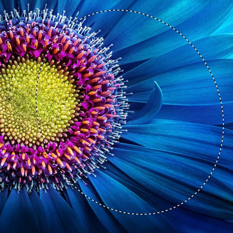 Add to & expand images using Generative Fill in Photoshop | Adobe