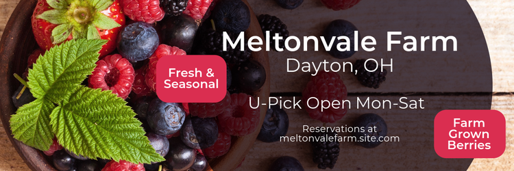 Crie banners personalizados online grátis | Adobe Express