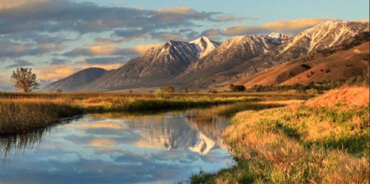 Pan shot: Definition & examples of the camera pan | Adobe