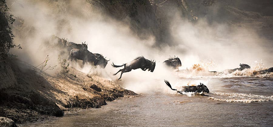 Tipps und Ideen für Naturfotografie – Adobe