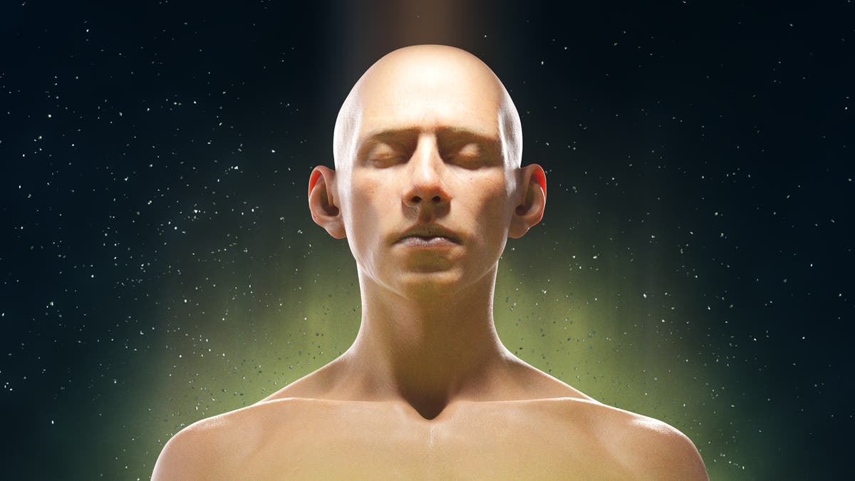 Subsurface Scattering“ (SSS) – Adobe Substance 3D