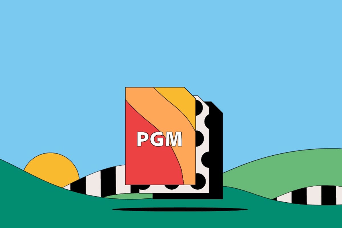 What are PGM files and how do you open them? | Adobe