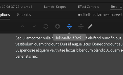How to Convert Word to SRT | Adobe