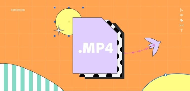 MP4 files explained: How to open and use | Adobe