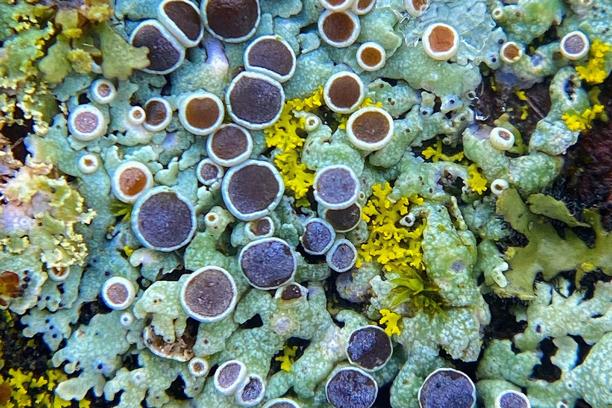 texture photography analysis