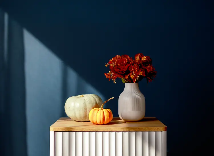 still life setup examples