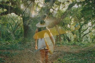 Fade in transition: What is a fade in film and how to add one | Adobe