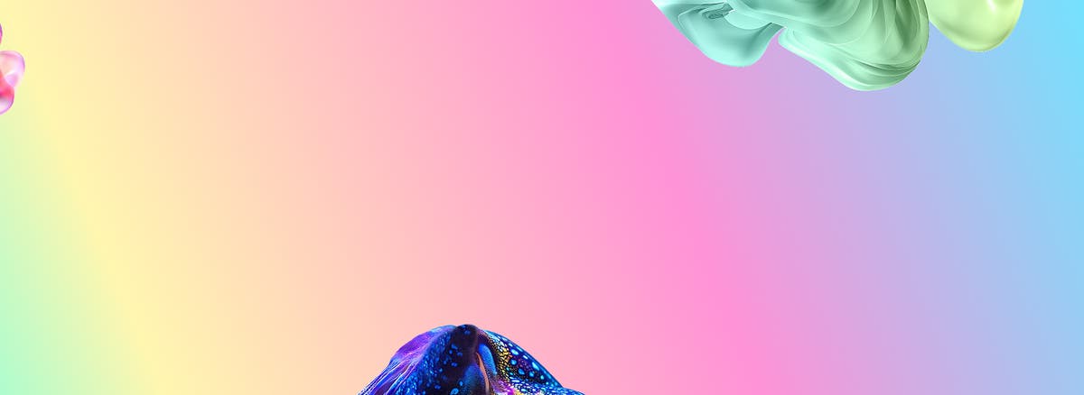 Adobe Captivate Interactive Elearning