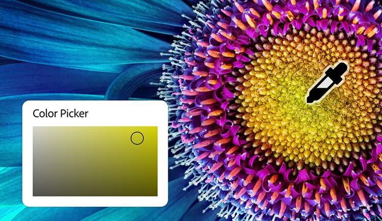 Selector de color: selector de colores CMYK, RGB y HEX de imágenes ...