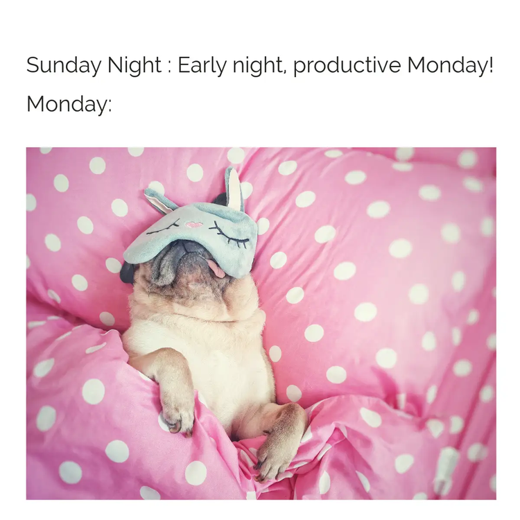 72 Meme Captions You’ll Actually Want to Use | Adobe Express