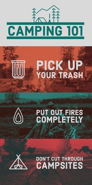 60 Best Infographic Examples for Beginners | Adobe Express