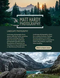 40+ Newsletter Examples to Inspire You | Adobe Creative Cloud Express