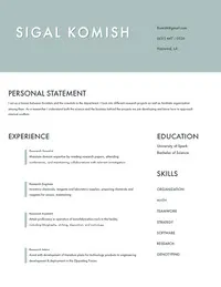 75 Impressive Resume Examples for Any Jobs | Adobe Express