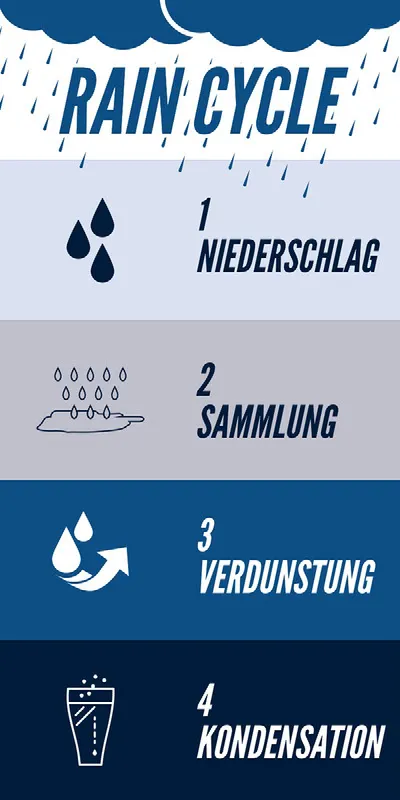 12 Incredible Infographic Ideas | Adobe Express