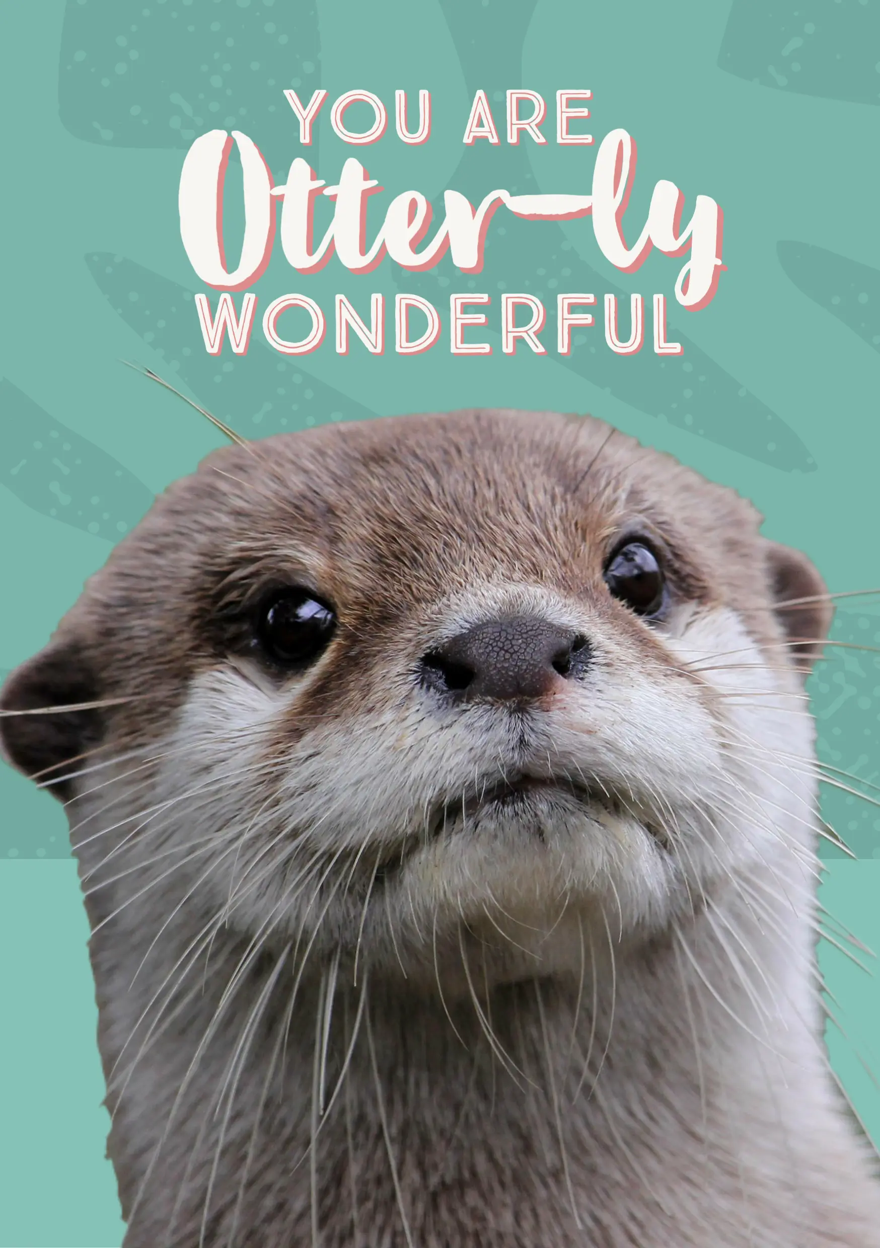 60 funny birthday card ideas to customize