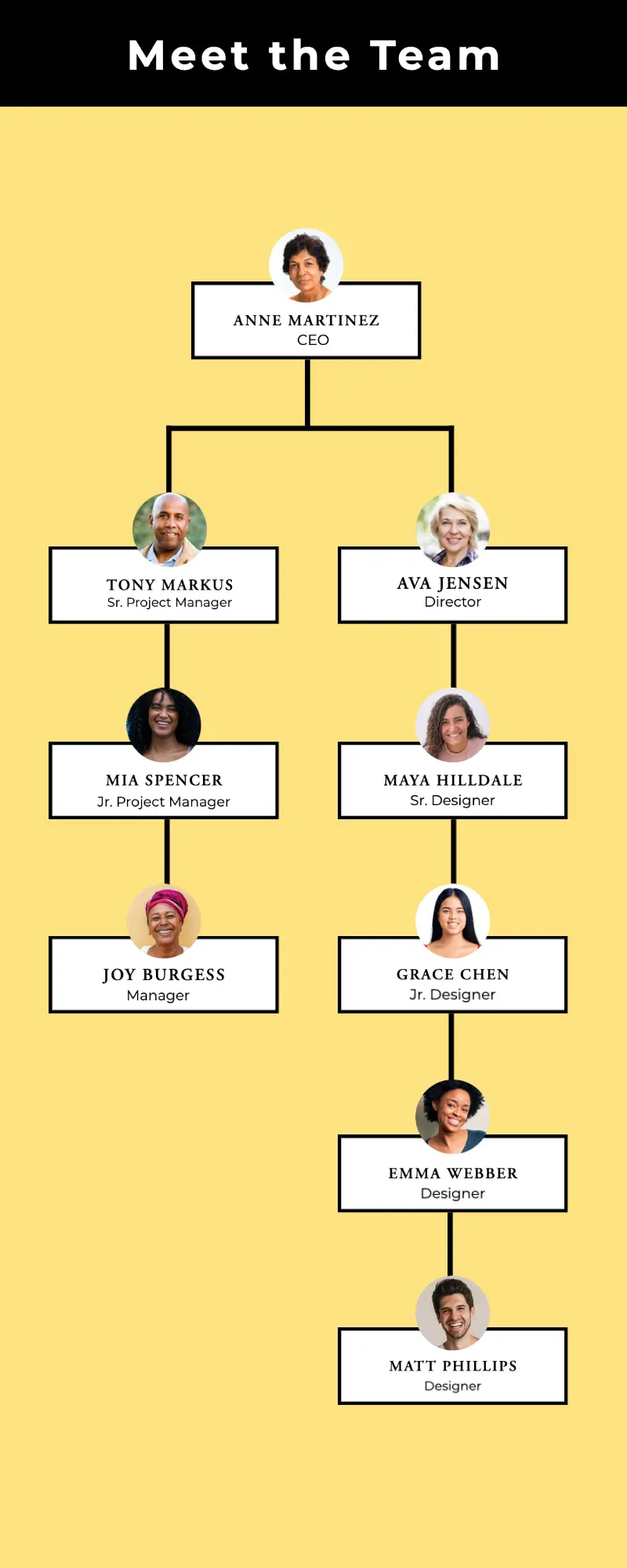 15 org chart examples and free organizational chart templates