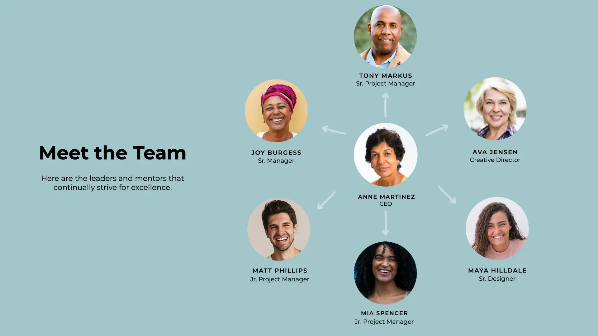 15 org chart examples and free organizational chart templates