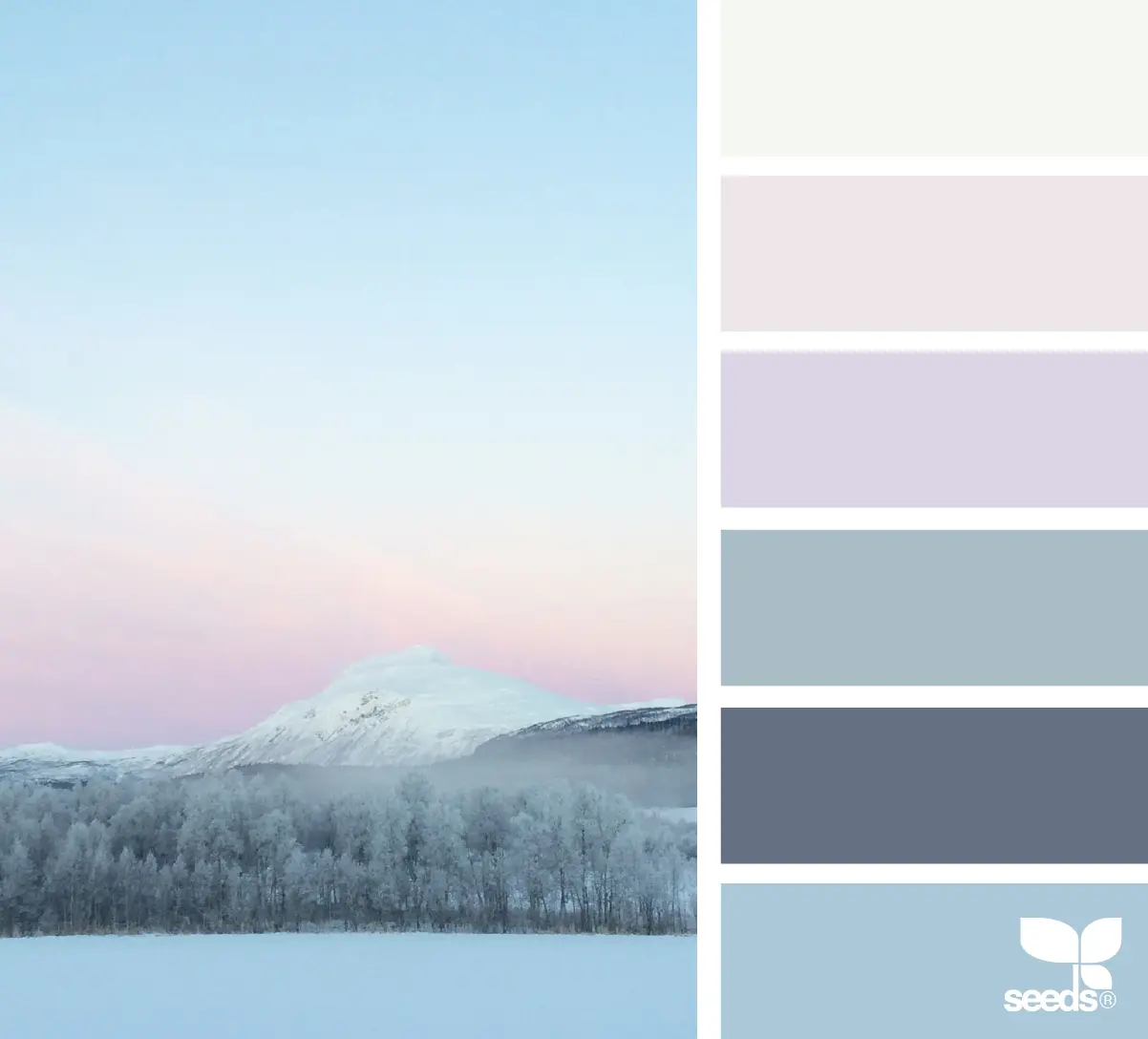 What Every Brand Needs to Know to Use Color Effectively