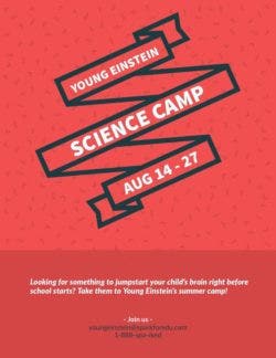 The Anatomy of Great Flyer Designs: 8 Winning Templates to Get You Started