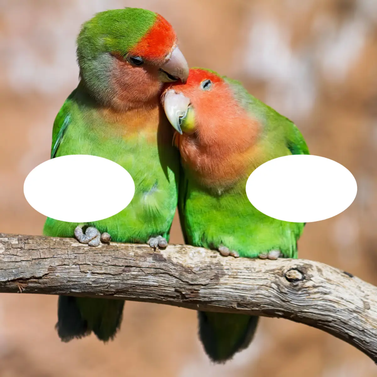 10 funny ads that worked and why