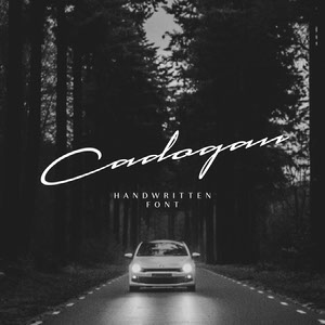 32 Cool Calligraphy & Script Fonts | Adobe Express