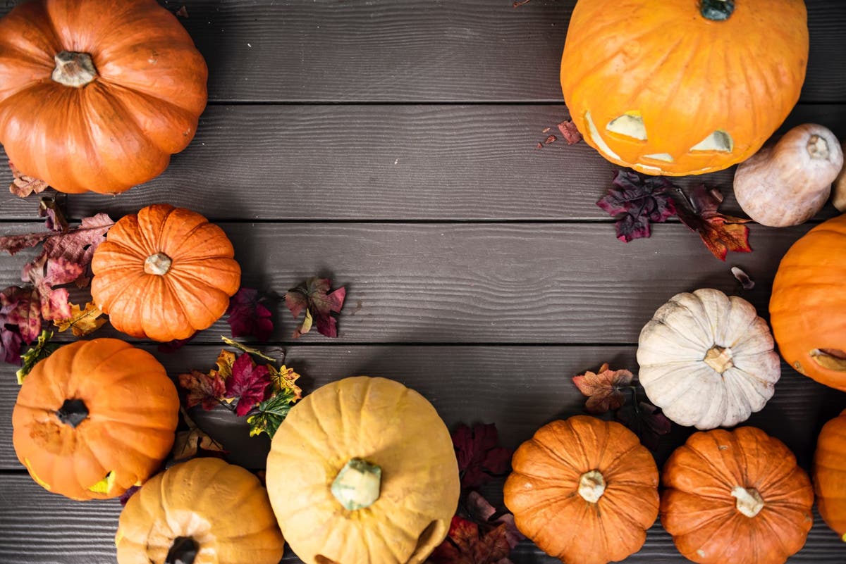 It’s Pumpkin Season! Here Are 9 Social Media Templates to Celebrate