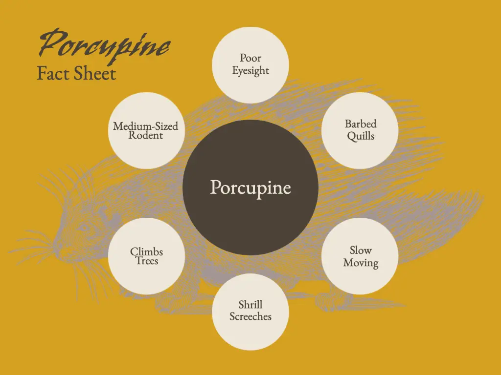 25 Mind map templates and examples for easy visualization