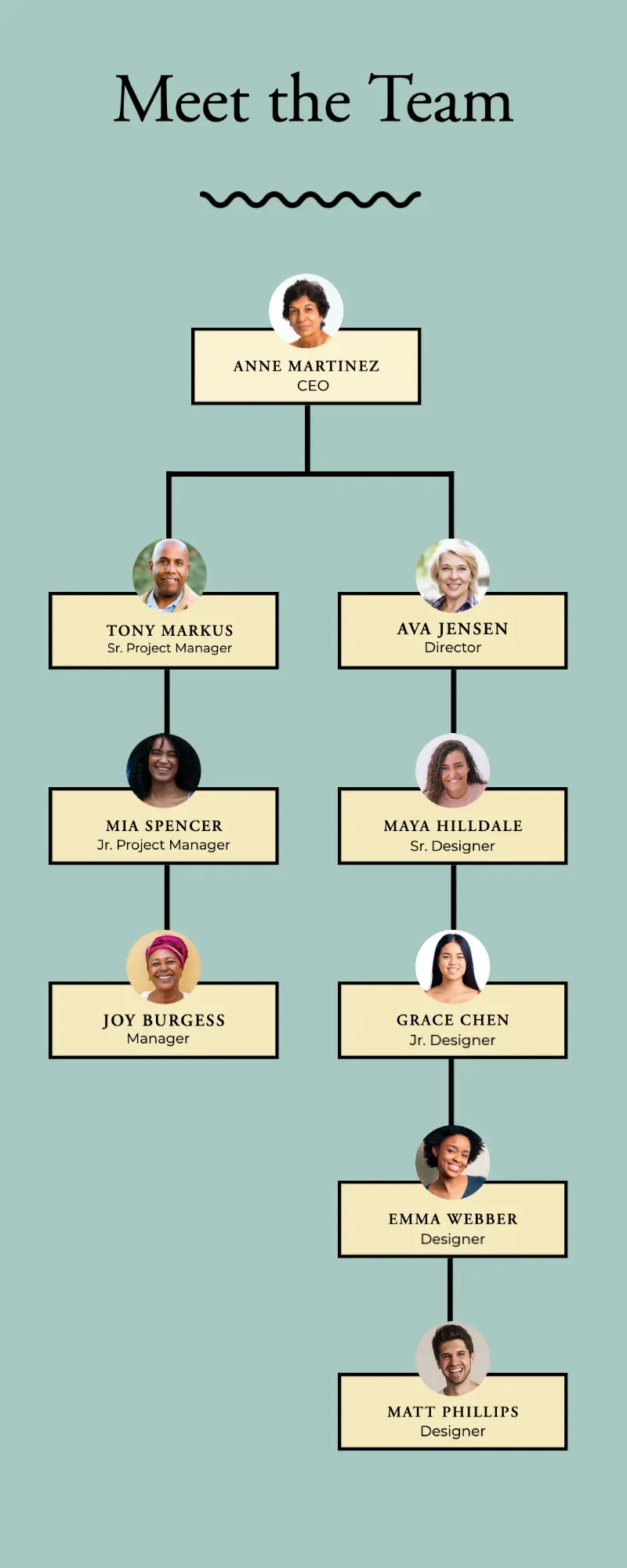 15 org chart examples and free organizational chart templates