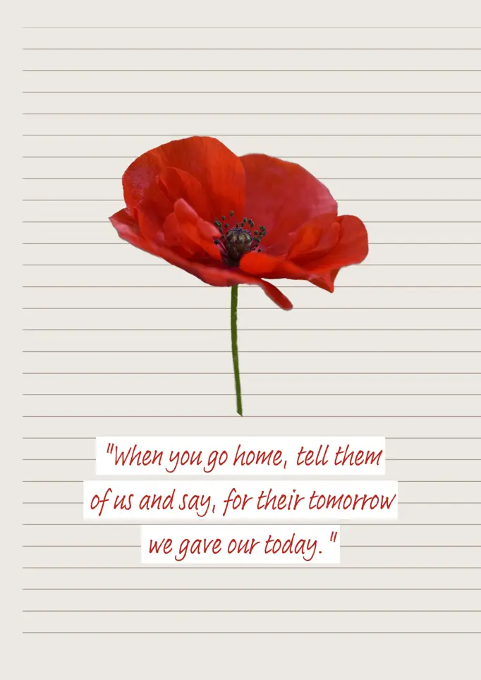 Remembrance Day: quotes, facts, and history