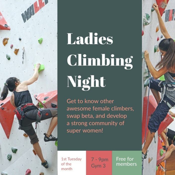 19 Flyer, Poster, and Collage Templates That Will Teach You Good Design