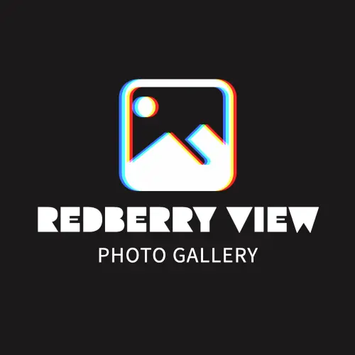 The ultimate guide to logo colors for your business