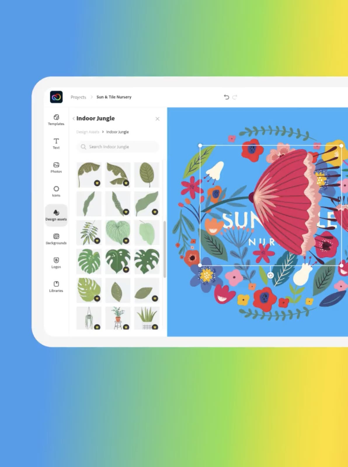 Adobe Creative Cloud Express (formerly Adobe Spark)