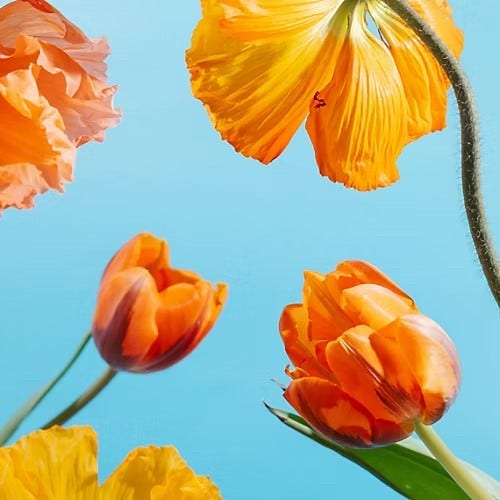 Essai en ligne gratuit de Photoshop – Version officielle de Photoshop ...