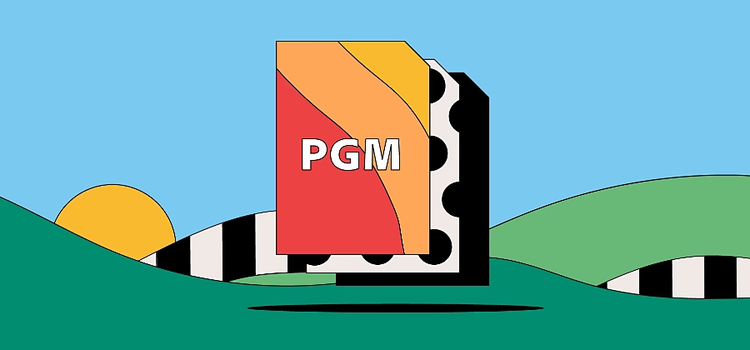 What are PGM files and how do you open them? | Adobe