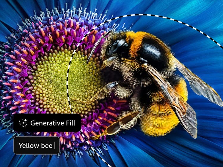 Generative Fill - AI Fill in Image - Adobe Photoshop