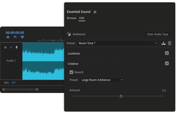 Video audio editor: Use AI to edit audio - Adobe