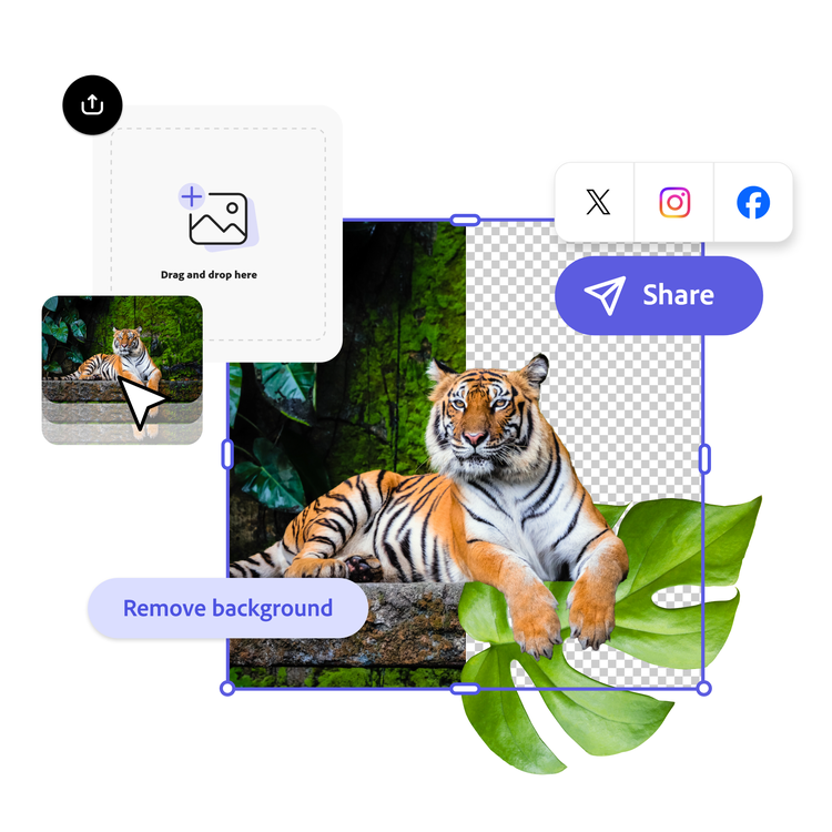 Convert JPG to Transparent PNG Free Online | Adobe Express India