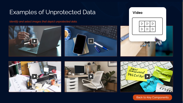 Adobe Captivate - Interactive eLearning