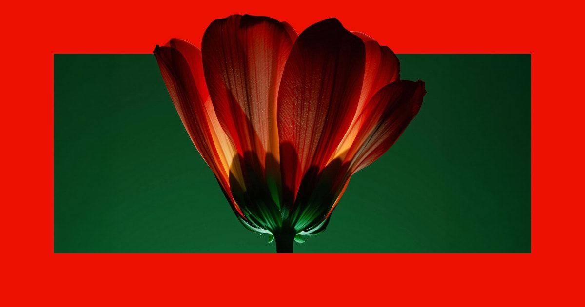 FLUX 1.1 Pro in Firefly | Creazione con IA rapida e flessibile