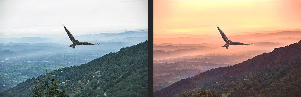 사진 보정 프로그램 추천 기능 알아보고 사진 배우기 | Adobe