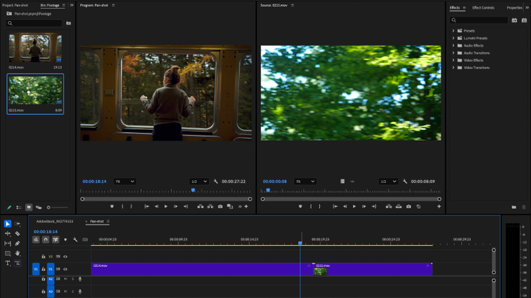 Paneo: definición y ejemplos | Adobe