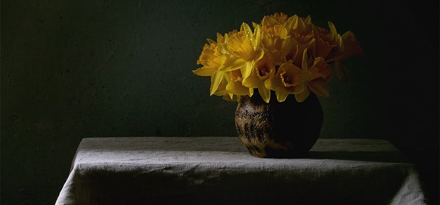 What is still life photography and how to shoot it - Adobe