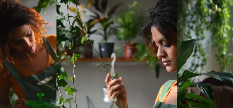 Add video transitions to your film - Adobe