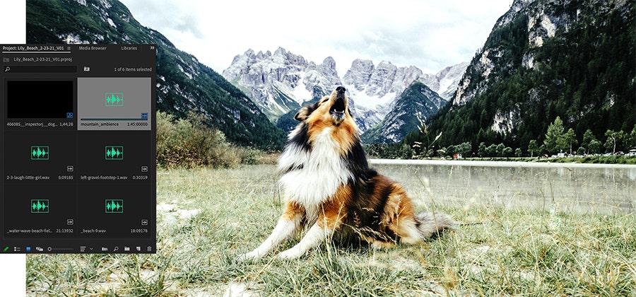 Add Sound Effects to Videos - Adobe