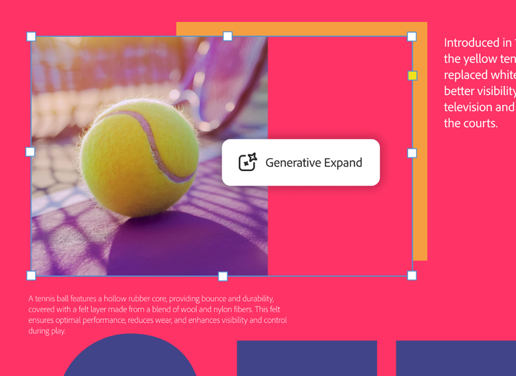 Layout design and desktop publishing software | Adobe InDesign