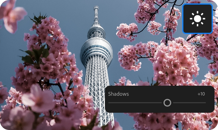 Explore New Lightroom Features - Adobe