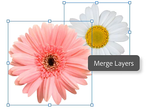 Paano mag-merge ng mga layer sa Photoshop - 5 Pamamaraan - Adobe