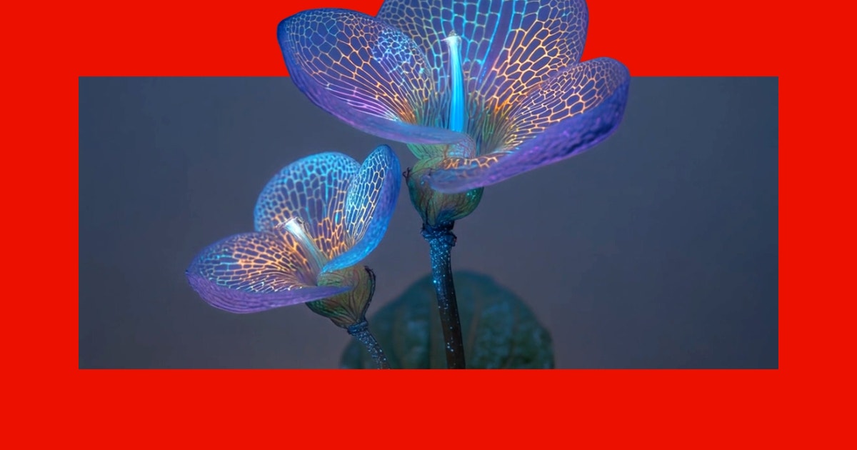 11 AI animated video examples (with prompts) - Adobe Firefly